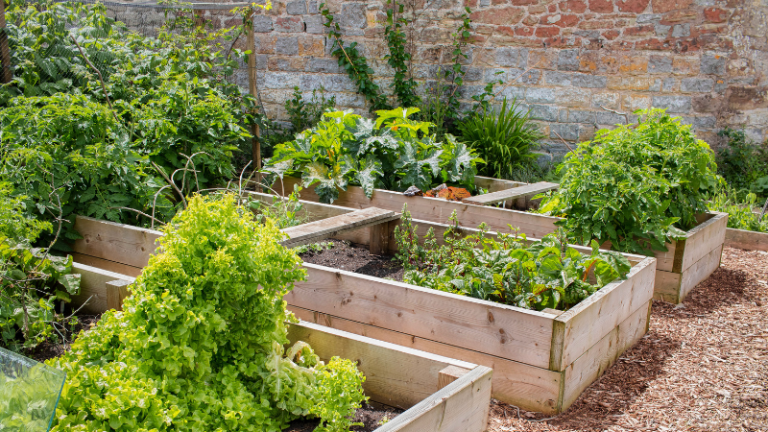 Garden Planning Layouts: Designing a Productive and Beautiful Space ...